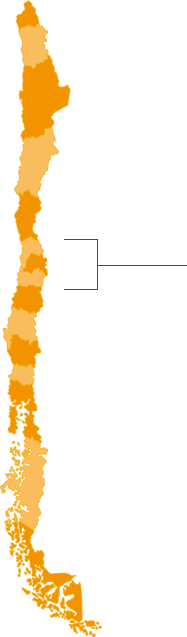 Index of /sitio/img/