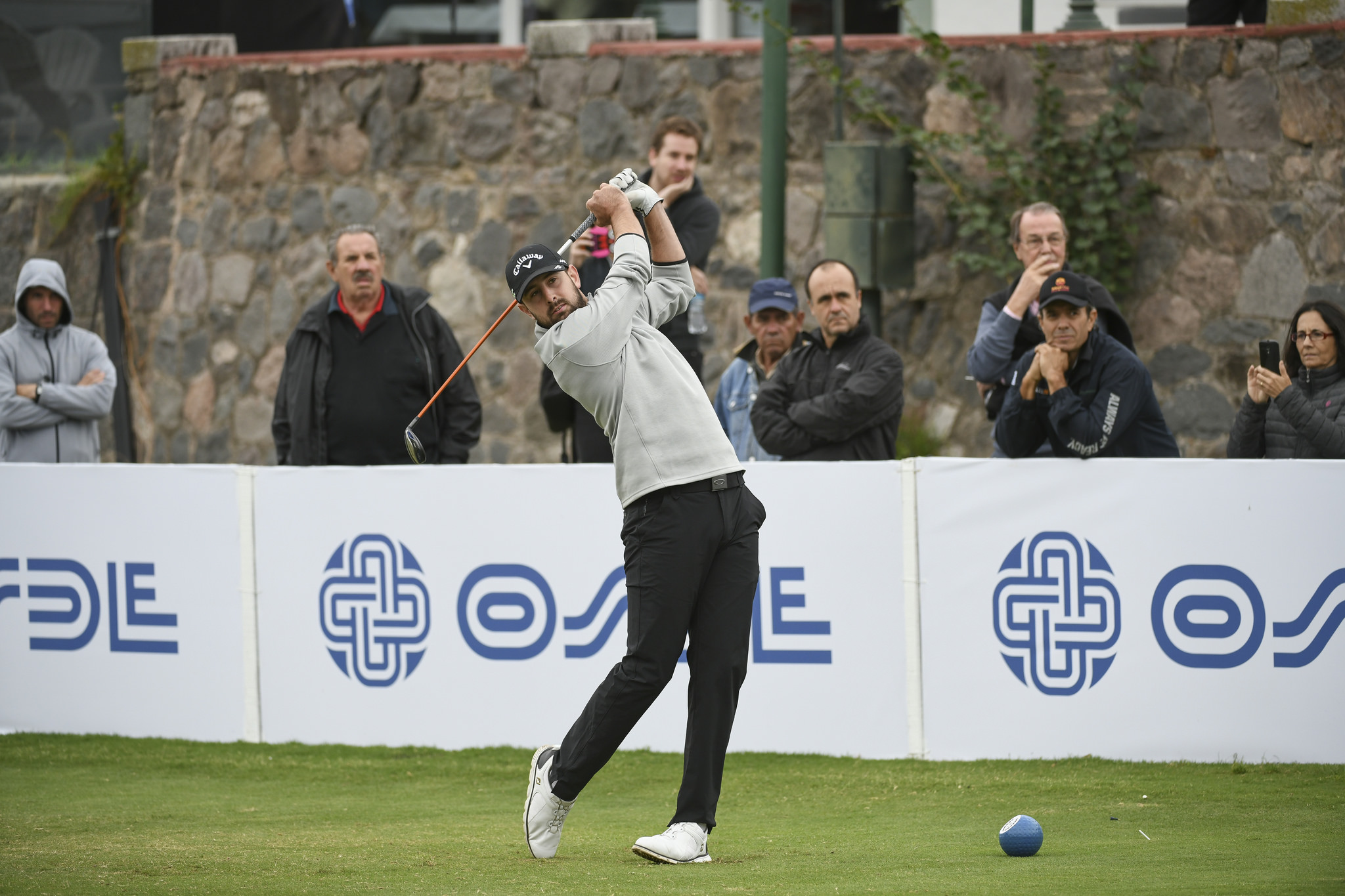 Federación Chilena de Golf