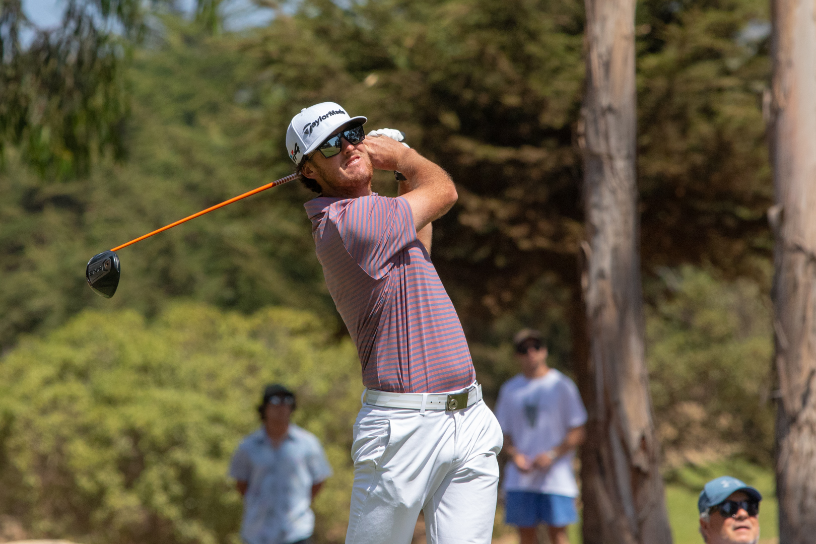 Federación Chilena de Golf