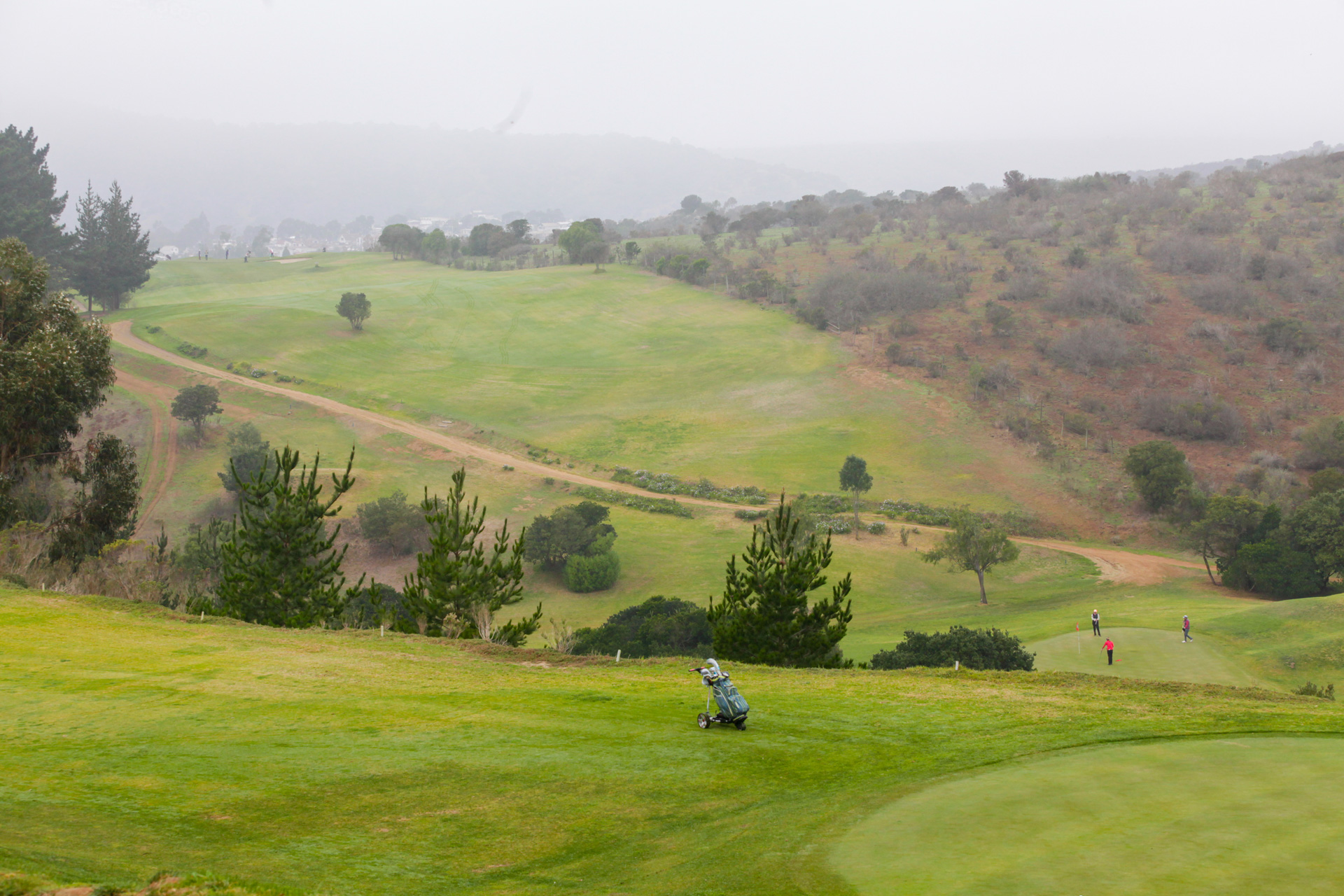 Federación Chilena de Golf - Noticias - 02 03 2022 Se viene la emocion ...