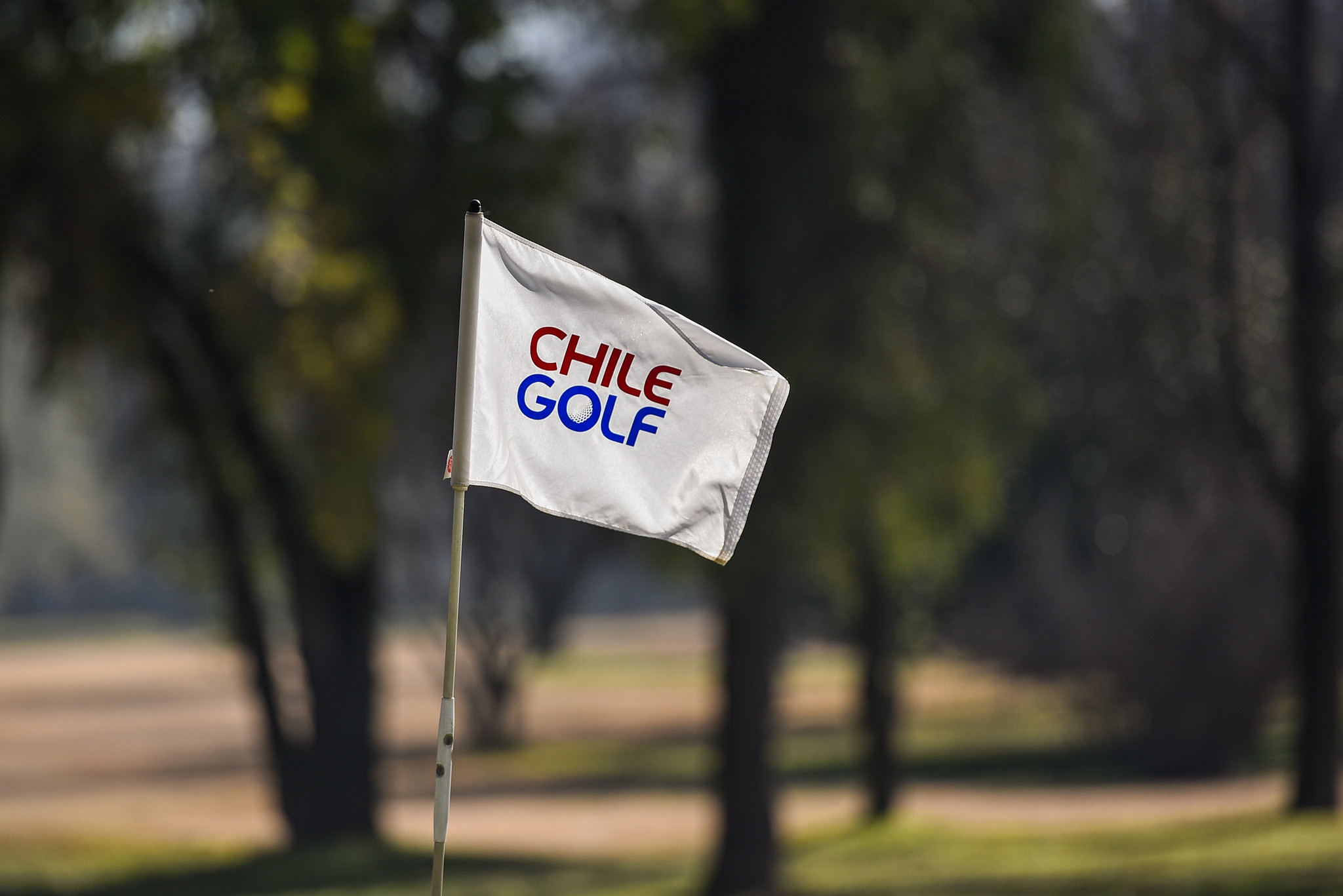 Federación Chilena de Golf - Noticias - 29 03 2023 Se actualiza el Reglamento de Campeonatos ...