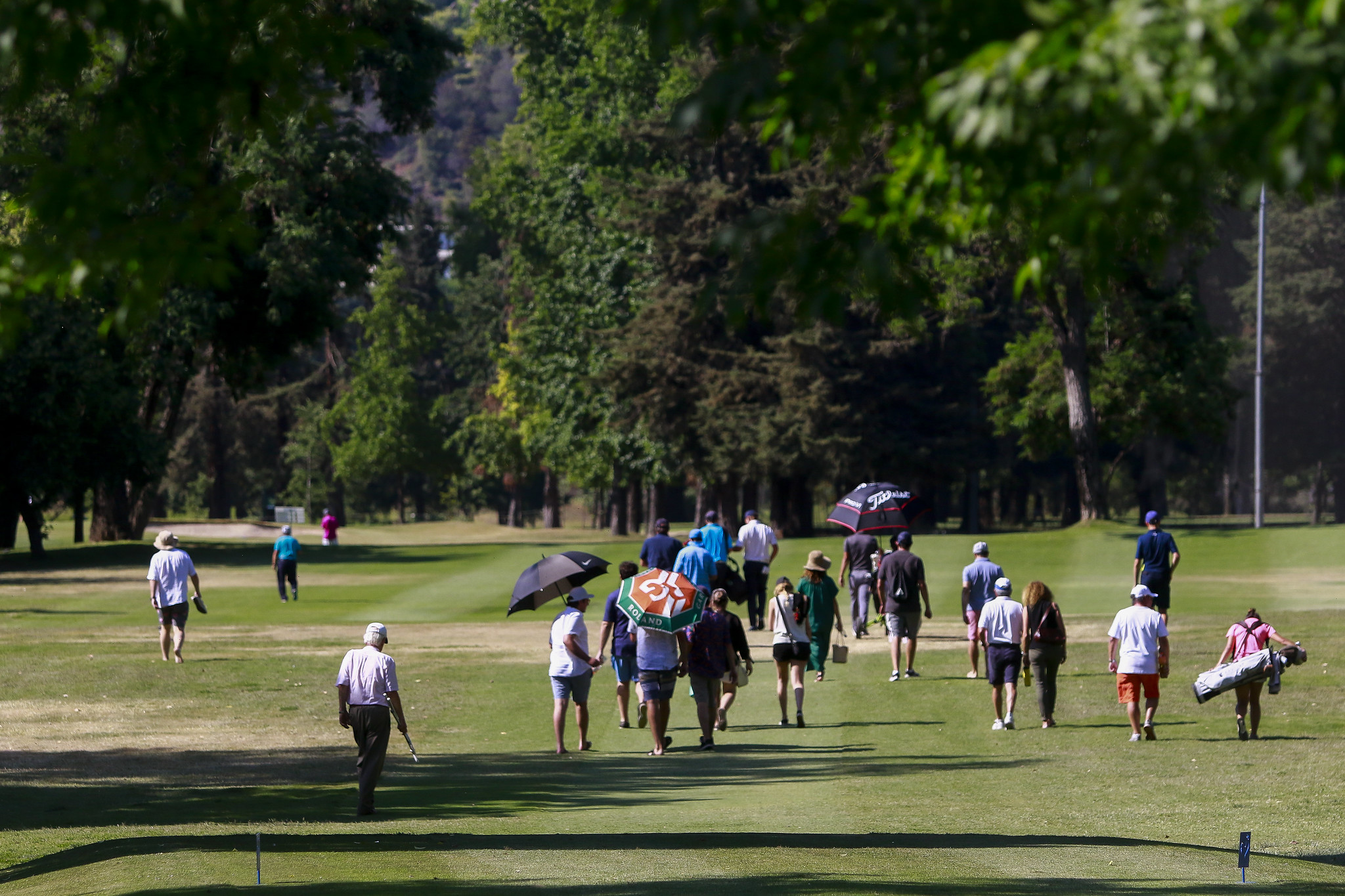 Federación Chilena de Golf - Noticias - 28 08 2023 Revise la ...